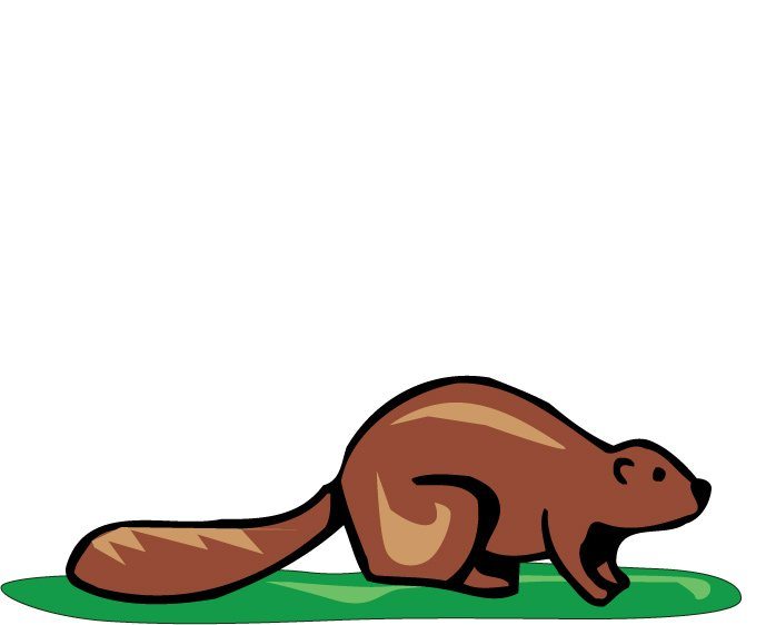 How to pronounce Biewer Terrier - Rocky Mountain Biewer Terriers