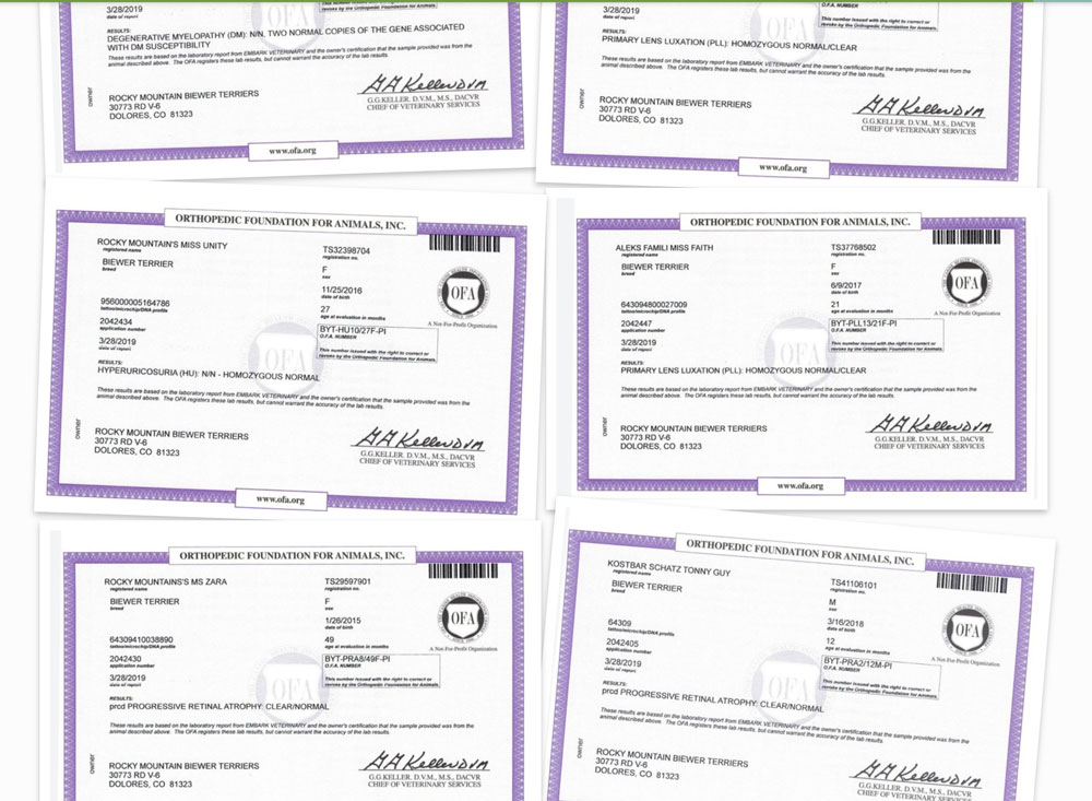 OFA Health Test Database