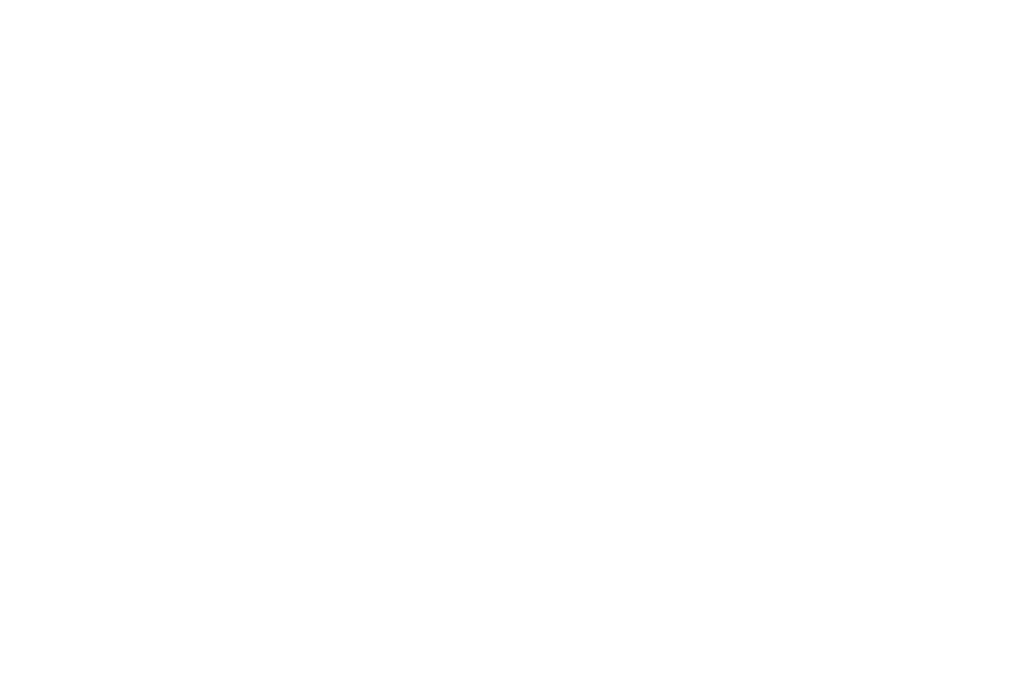 Rocky-Mountain-Biewer-Terriers-white-low-res 2 - Rocky Mountain Biewer ...